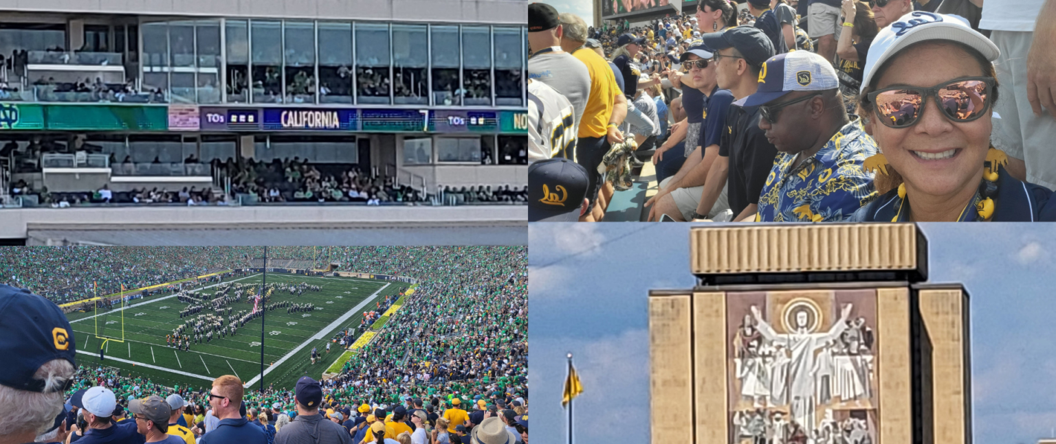 San Diego Cal Alumni Club – Connect with your CAL alumni friends!